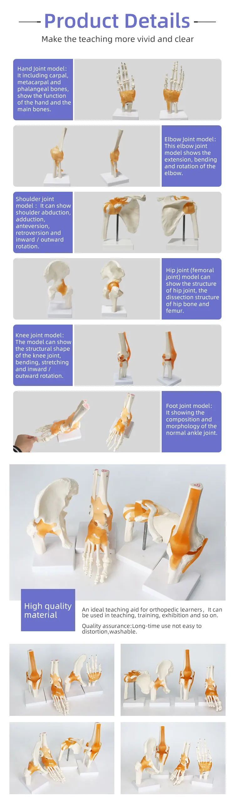 Human Joint Model PVC Medical Education Life-size Six Pieces Set ...