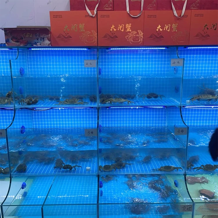 Live Lobster Farming Tank - Sustainable Fish Tank Solutions