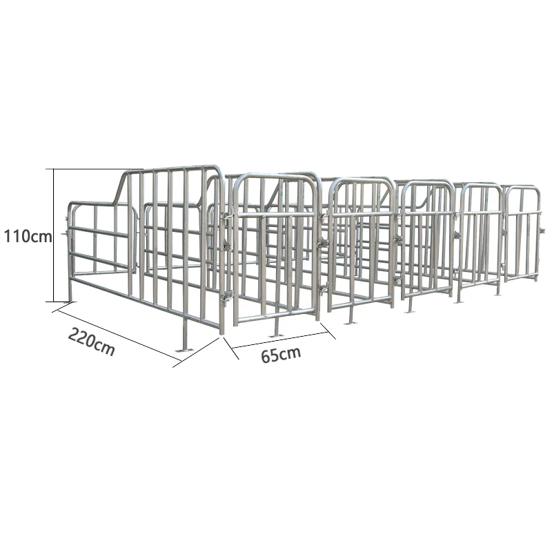 Sturdy & Anti-Rust Pig Gestation Cage - Ergonomic Design for Swine Farm ...