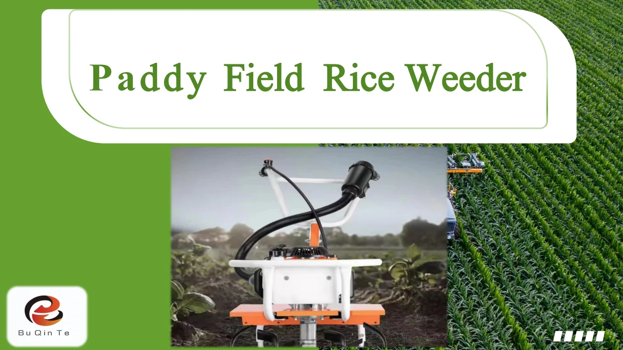 A Rototiller,A Hand-held Paddy Weeder,Is On Sale At A Low Price - Buy ...