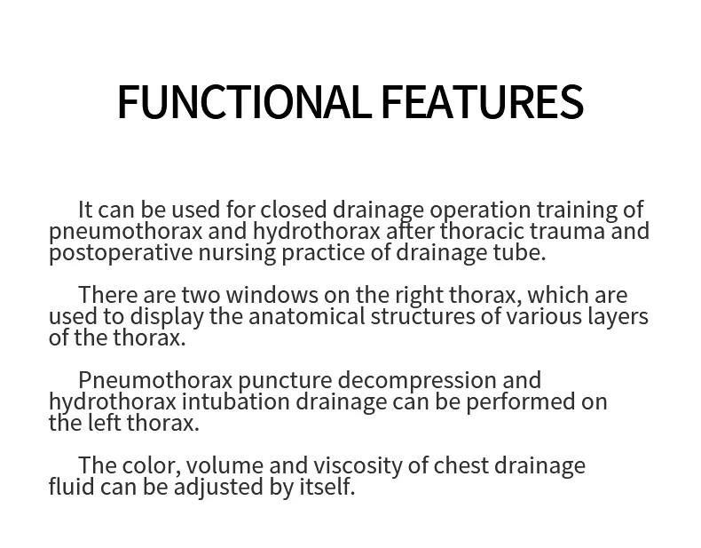 Pleural Puncture Drainage Model Thorax Puncture Drainage Model Chest ...