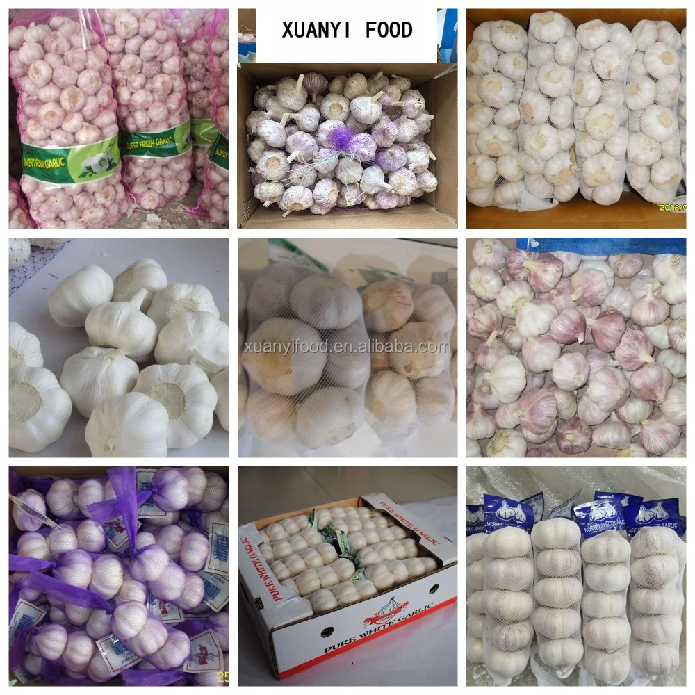 Fresh Garlic 2022 New Price Elephant Garlic Export To Brazil Euro Egypt ...