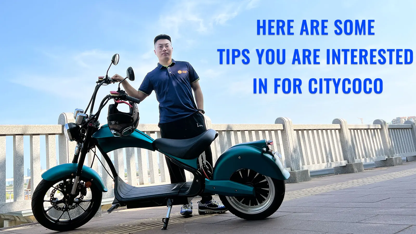 New Model Electric Scooter 3000W EEC COC Citycoco 2000w 4000w Removable ...