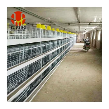 Galvanized H Type Baby Chicks Brooder Cages Of Breeding Used In Farm ...