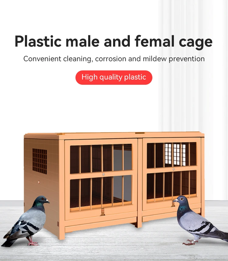 Plastic Nest Box Racing Homing Pigeon Paired Cage