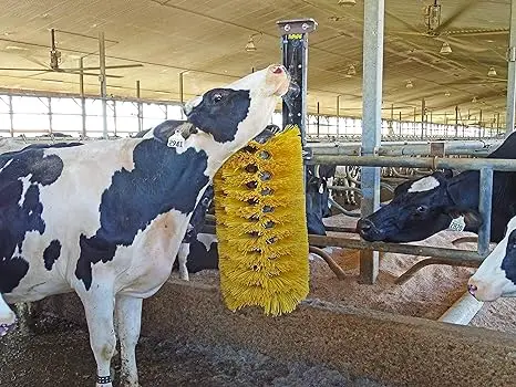 Cattle Massage Scratching Cleaning Body Agriculture Farm Equipment ...