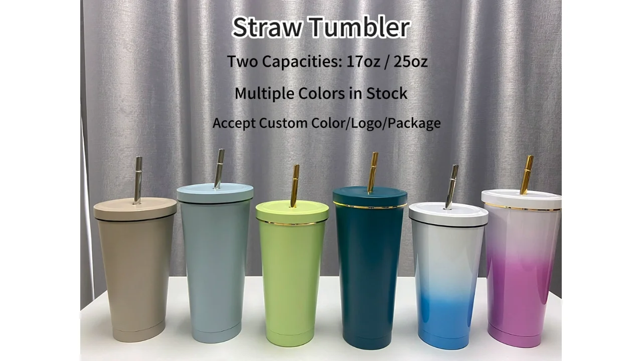 Simple Modern New Product Ideas 2023 Stainless Steel 25oz 750ml Thermal ...