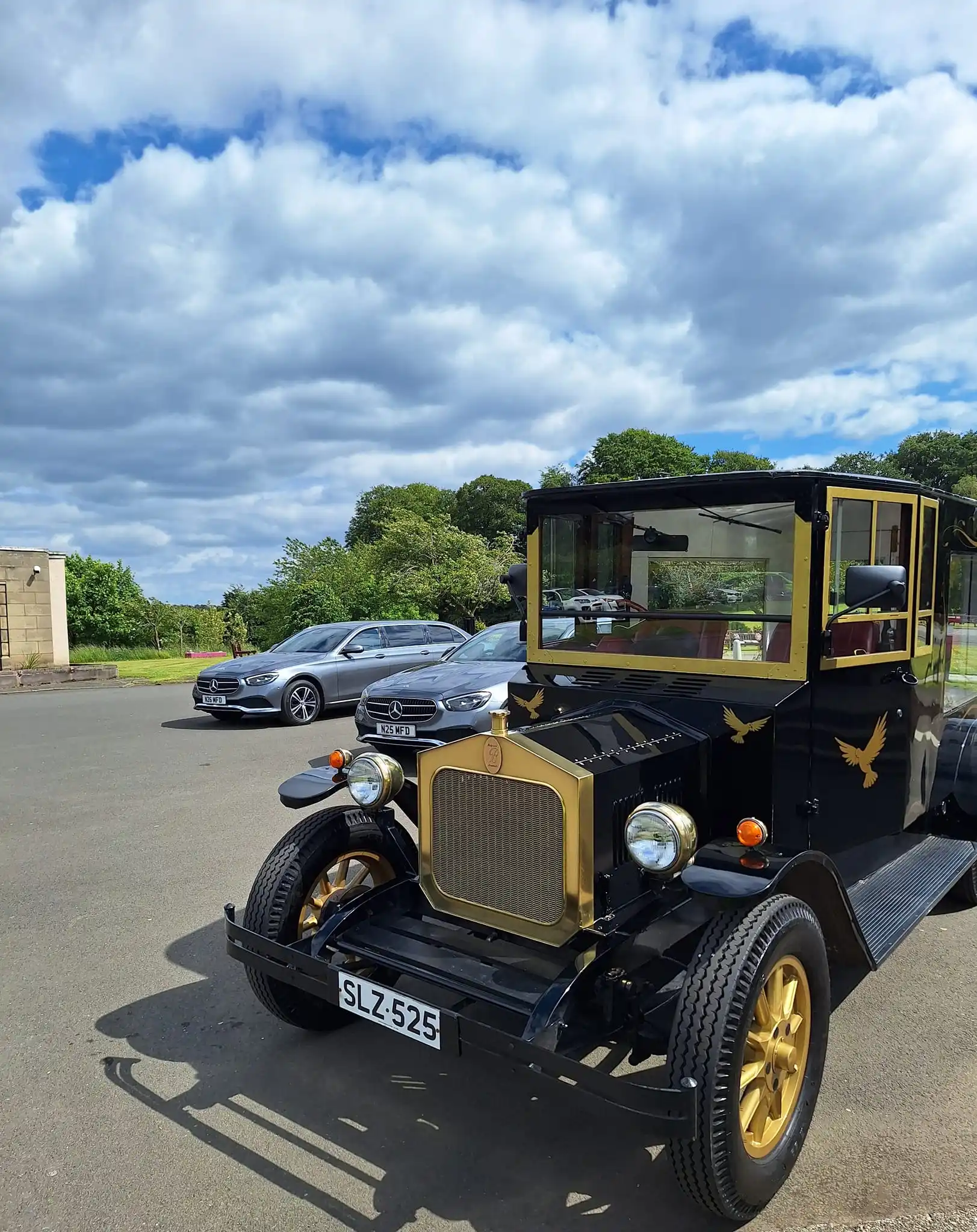 Special Transport Manufacturers Sell Retro Electric Funeral Carriage ...