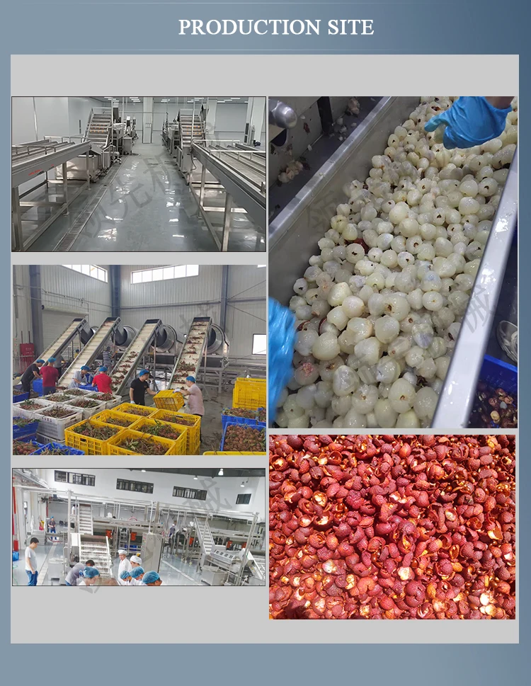 Efficient Lychee Peeling Machine - High Quality & Automatic