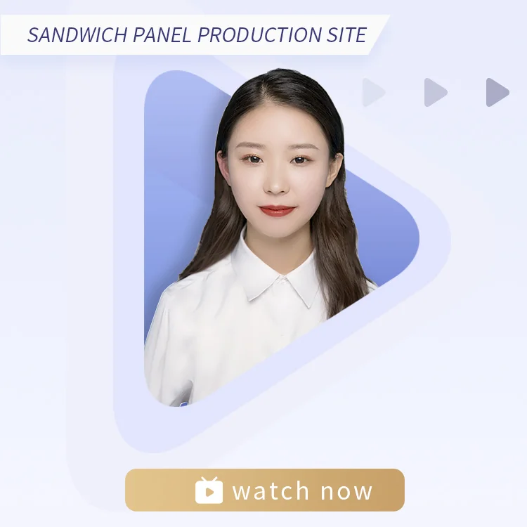 Product display explanation Product Show Stream 2022 - Alibaba.com