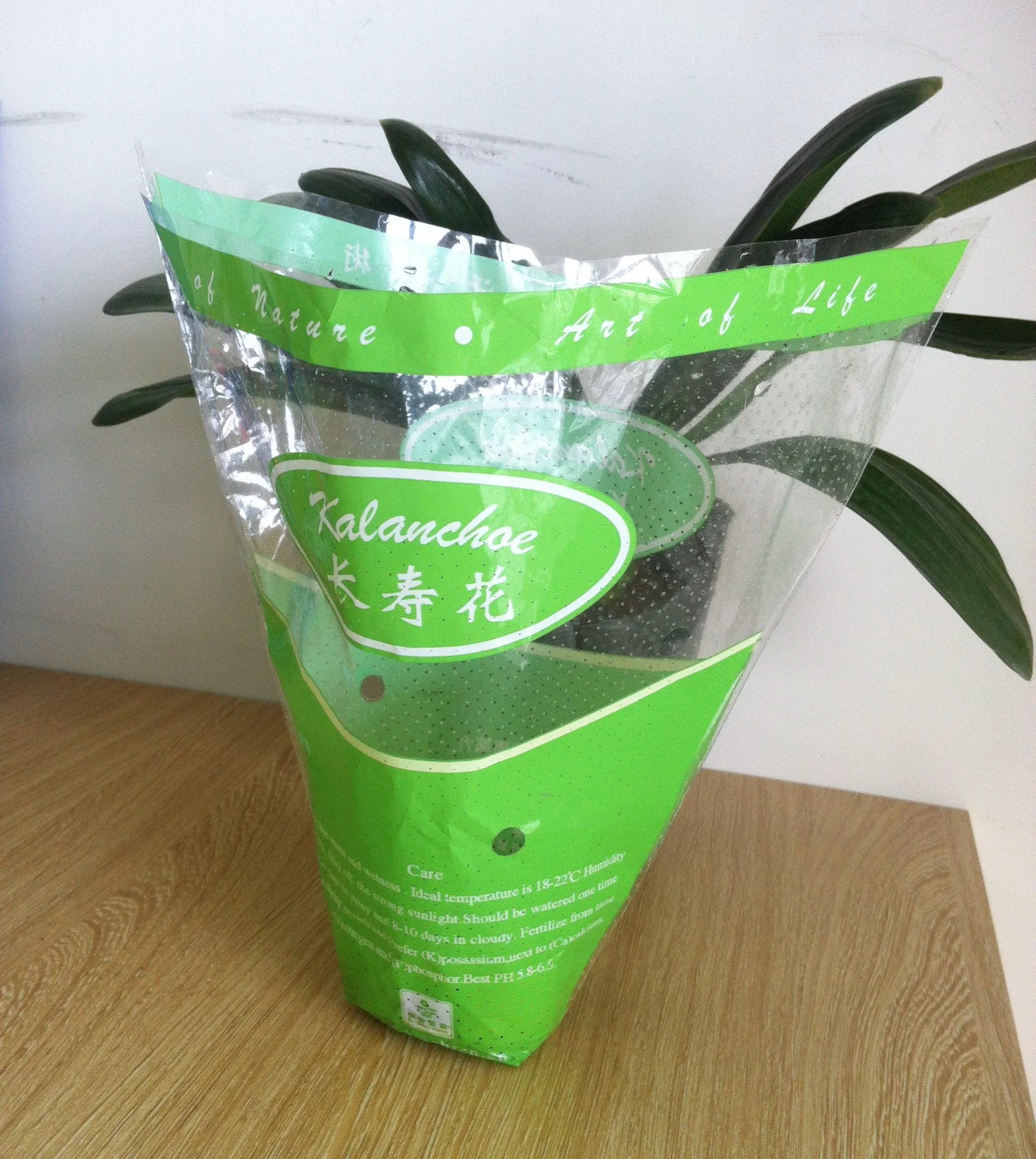 Cellophane Clear Plastic Packaging Wrapping Flower Sleeves Bag One ...
