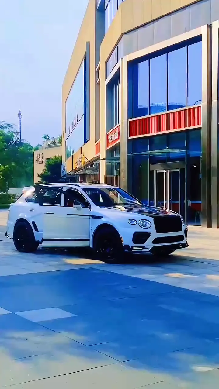 Msy Style Front Bumper Grille Assembly Rear Spoiler Side Skirts Fender ...