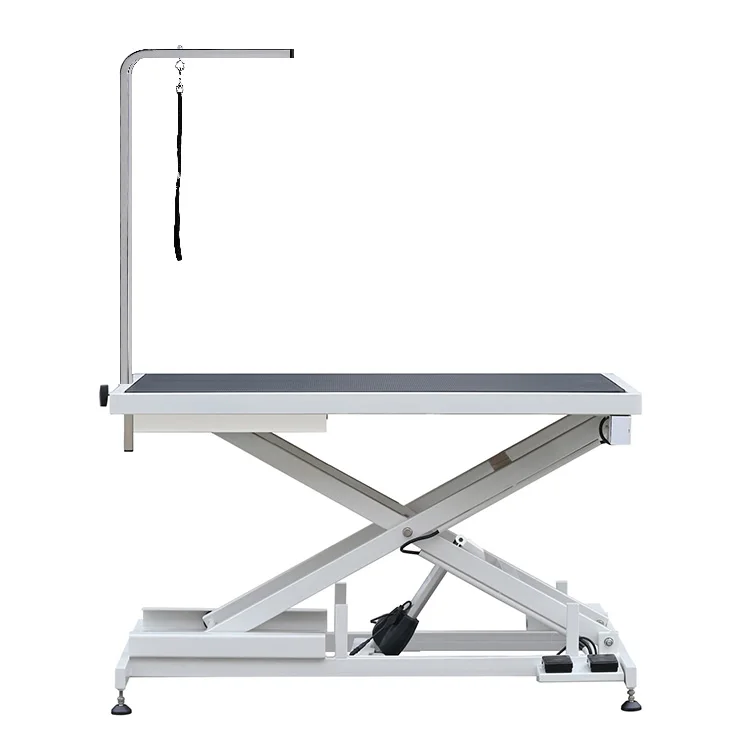 New Design Electric Elevating Lifting Professional Aeolus Dog Pet ...