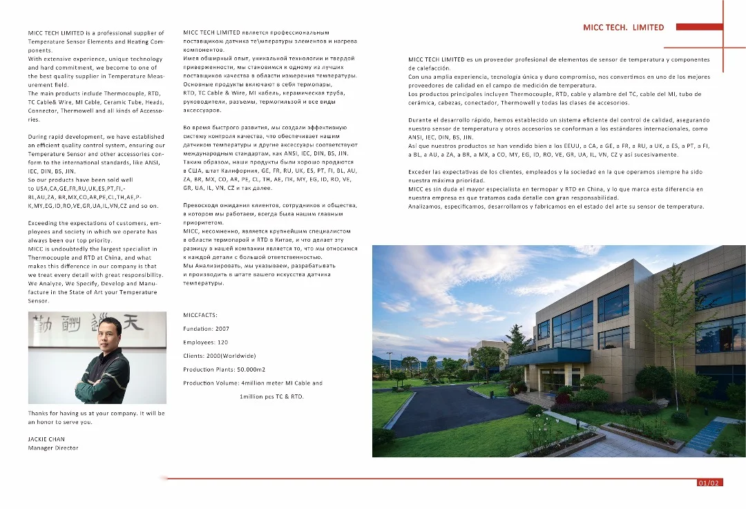 Standard Accuracy: Iec751 And Din43760 Pt100 Ceramic 2*16mm Platinum ...