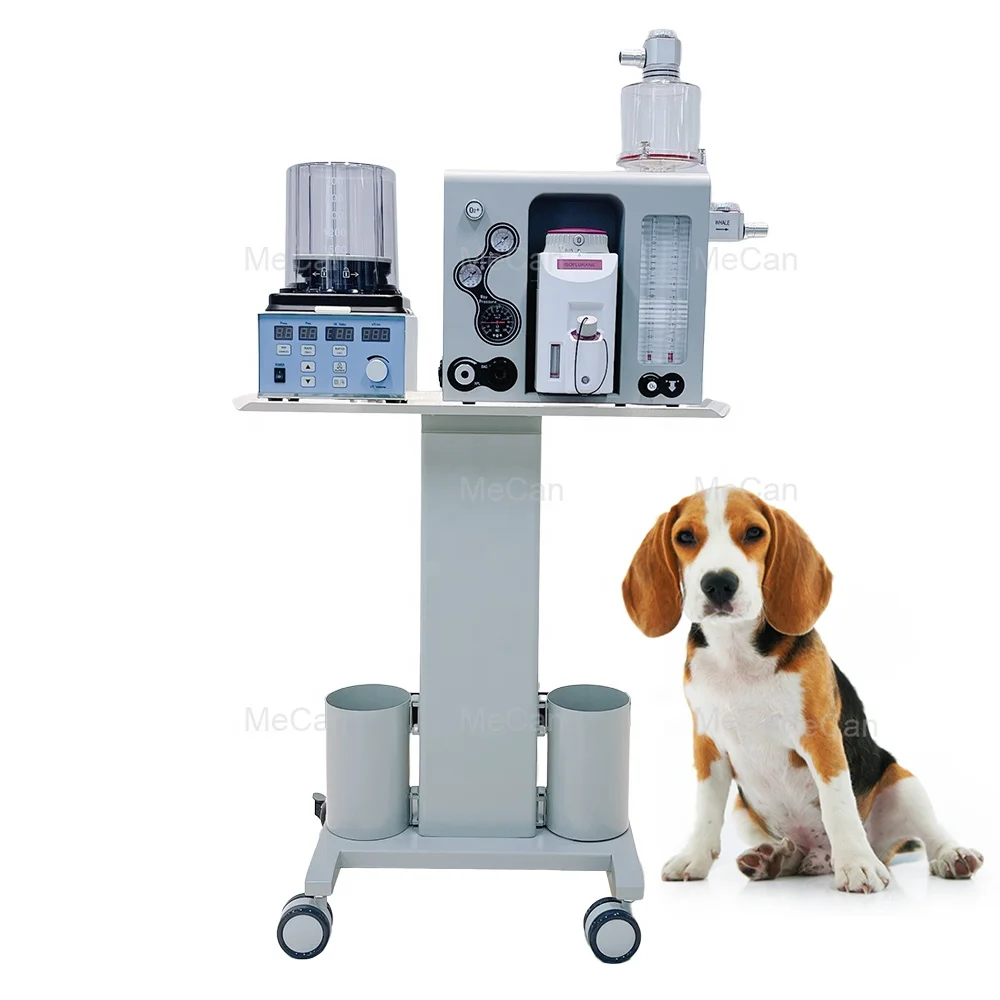 Maquina De Anestesia Medical Anaesthesia Equipment Animal Vet Gas ...