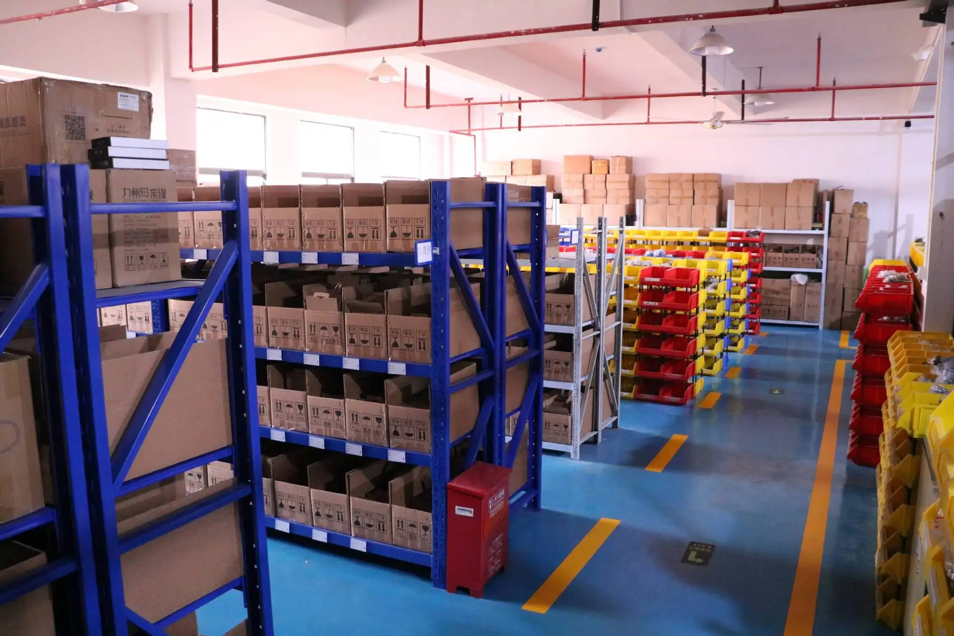 Company Overview - Shanghai Momo Medical Device Co., Ltd.