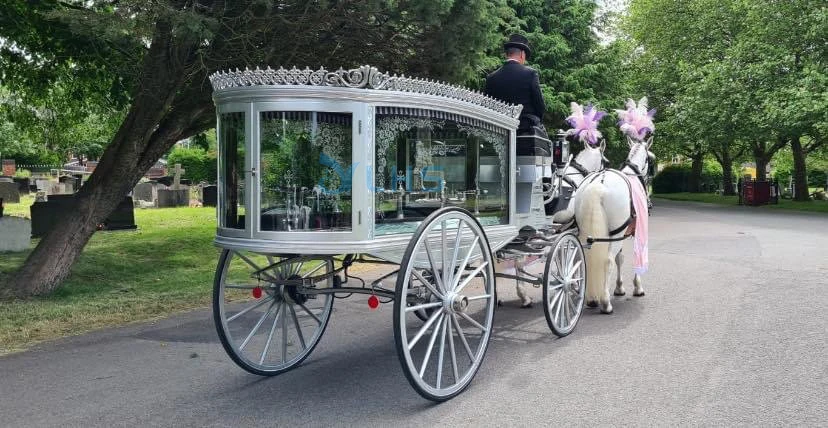 New Design Glass Horseless Hearse Carriage Horse Hearse Factory ...