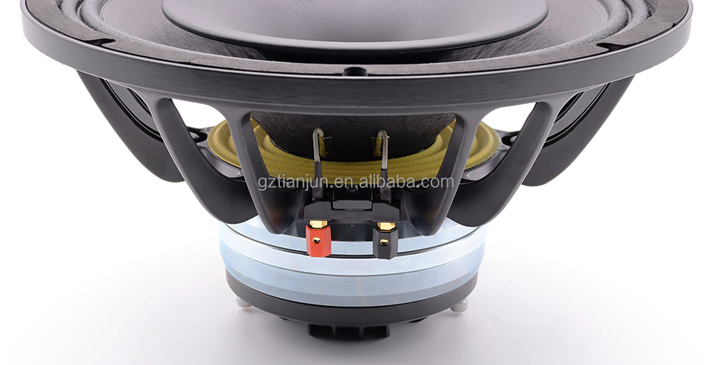 12 Inch Neo Coaxial Speaker - 50-20khz Professional Monitor