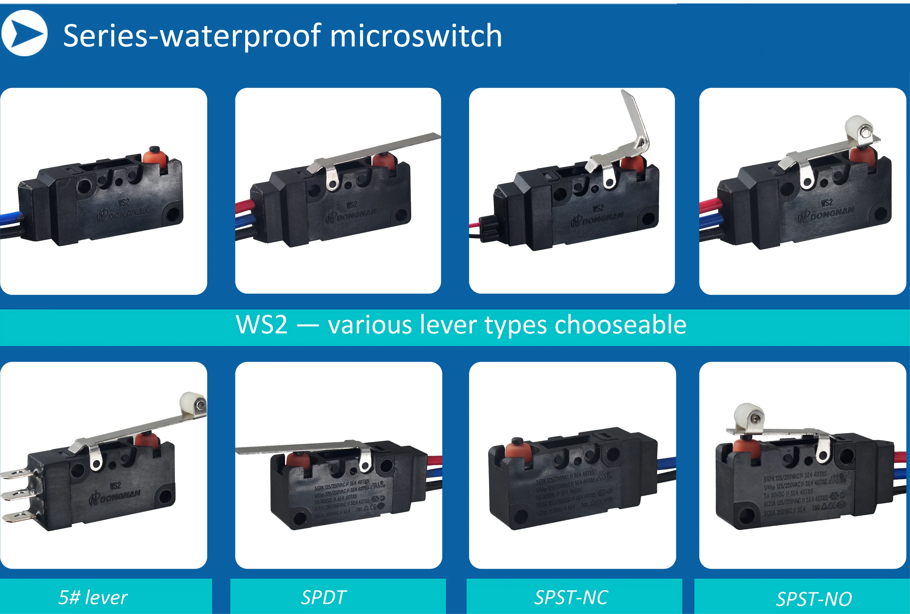 DongNan WS2 250V Waterproof Micro Switch SPDT 1 NO 1 NC Momentary Type ...