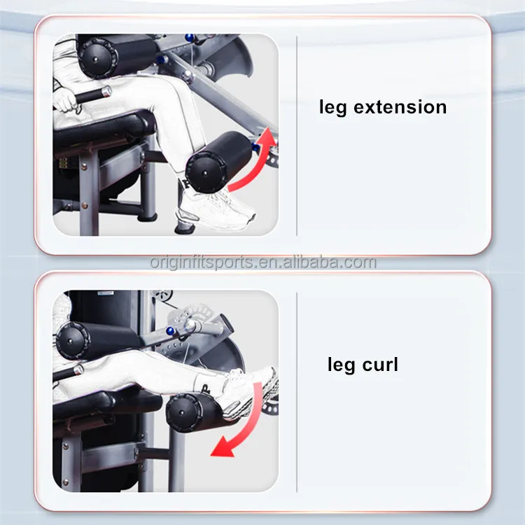 Seated Pin Loaded Leg Curl Leg Extension Machine Dual - Buy Leg Curl ...