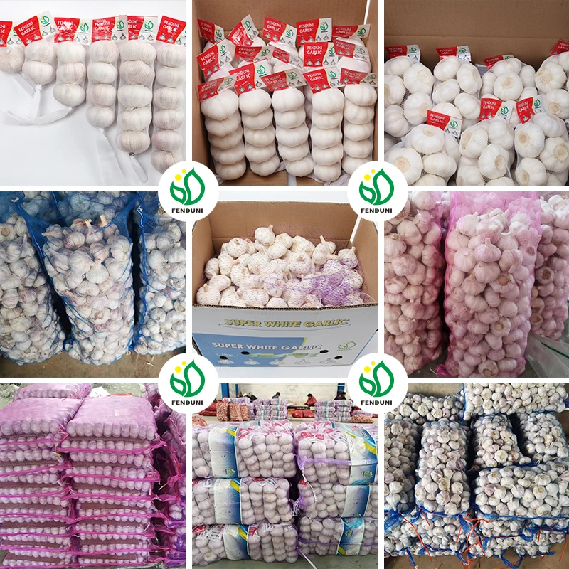 Export Pure White Garlic/snow White Garlic 10kg/carton To Kenya With ...