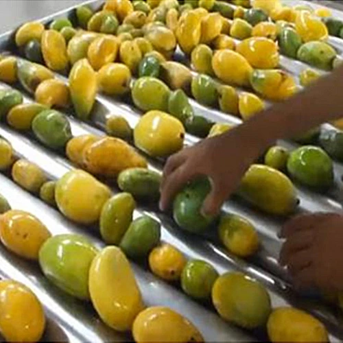 Industrial Mango Pulp Puree Jam Manufacturing Processing Plant ...