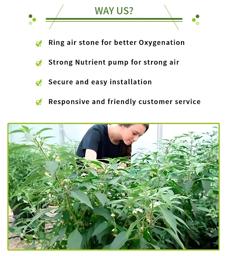 4 Bucket 6 Gallon Hydroponics System Container Hydroponic Big Net Cup ...