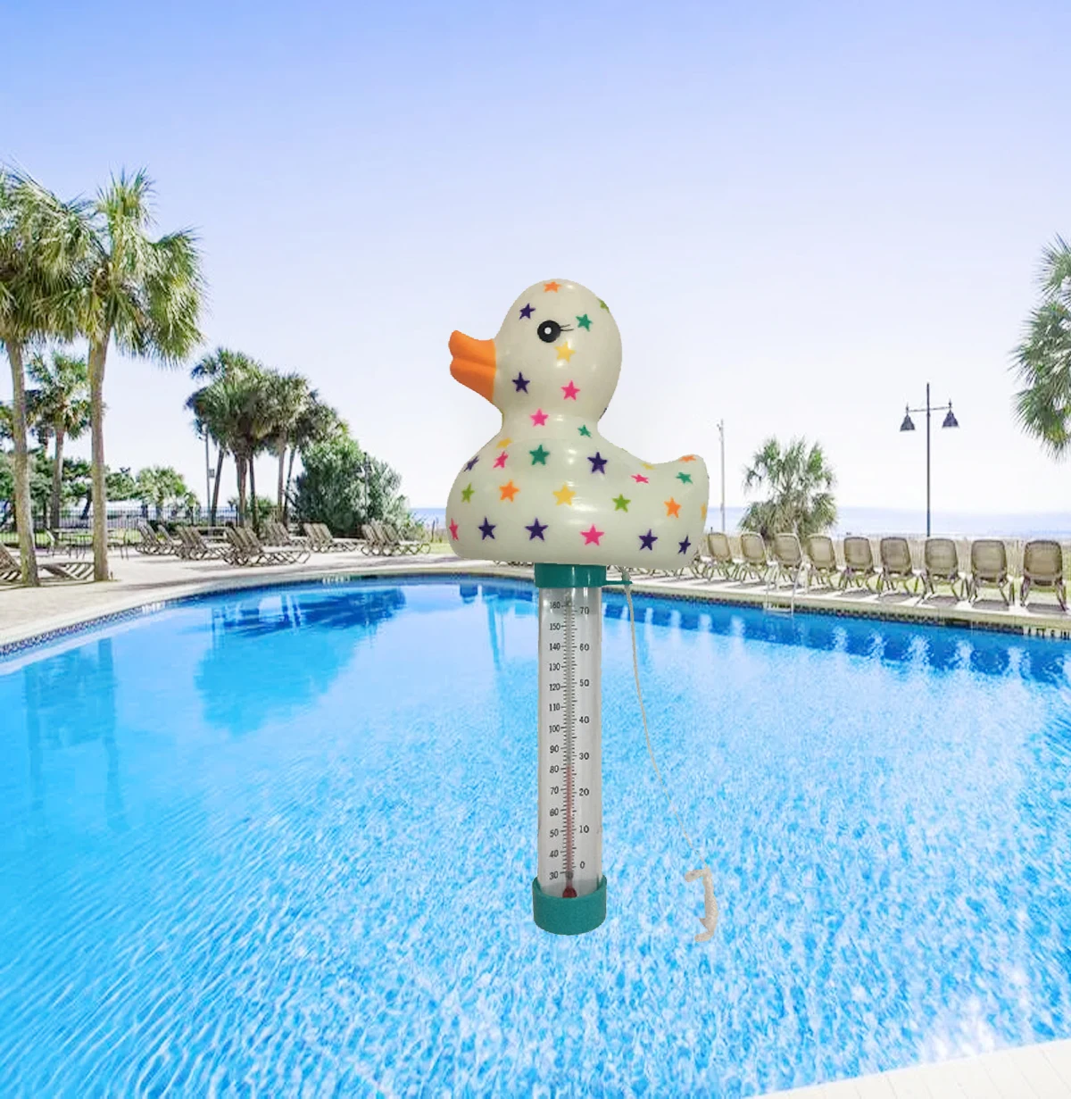 Large Star Duck Floating Pool Thermometer Easy Read Water Temperature ...
