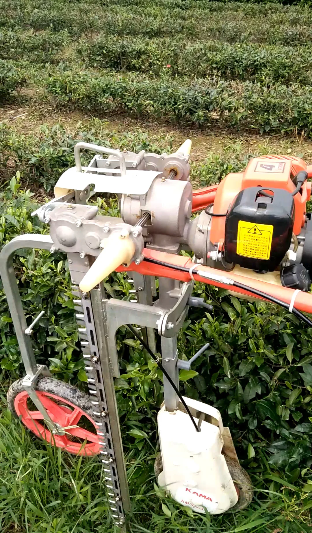 Efficient Tea Garden Pruning with Chama's Self-Propelled Machine