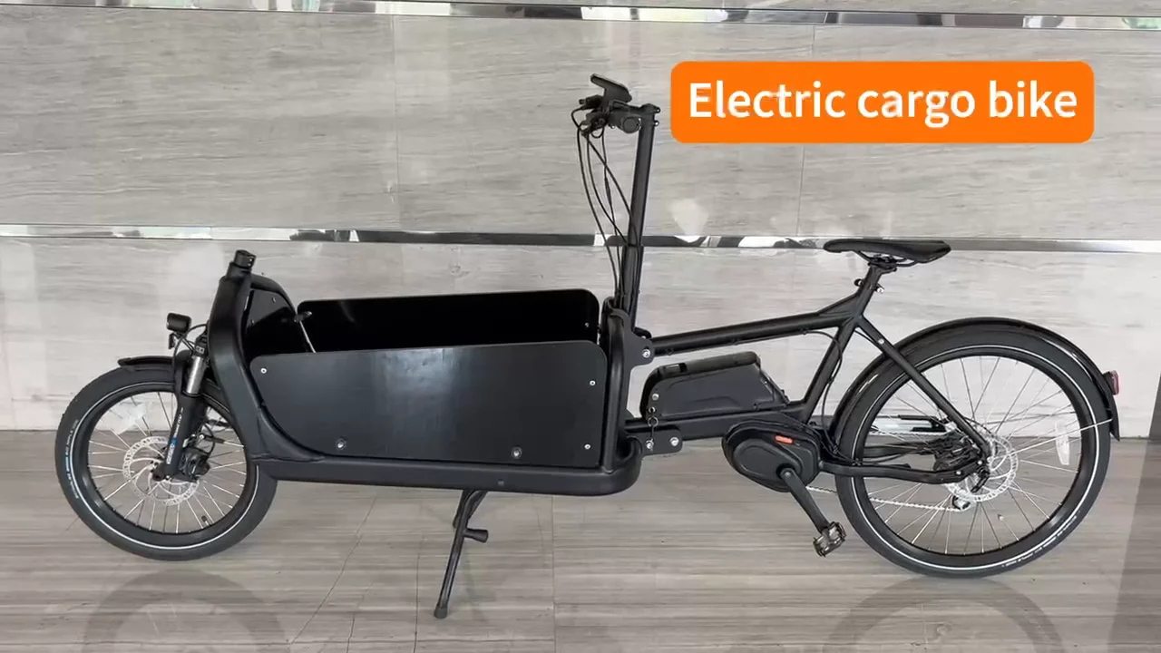High-capacity High-practicality Electronic Cargo Bike - Buy High ...