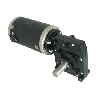 Dual Shaft Worm Gear Motor 120rpm 60rpm 20nm 50nm 12v 24v 350w 200w Dc ...