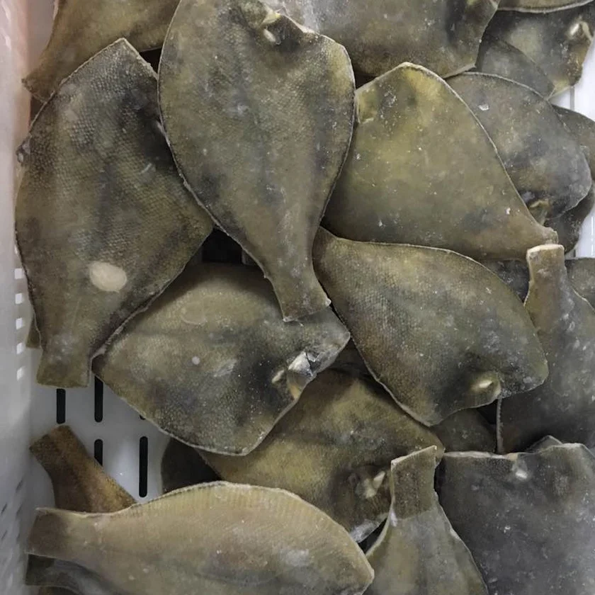 Frozen Yellowfin Sole Hg - Buy Yellow Fin Soe,Yellowfin Sole,Sole Hg ...