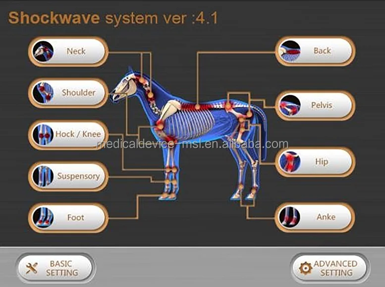 Veterinary Shockwave Machine - Pain Relief for Horses