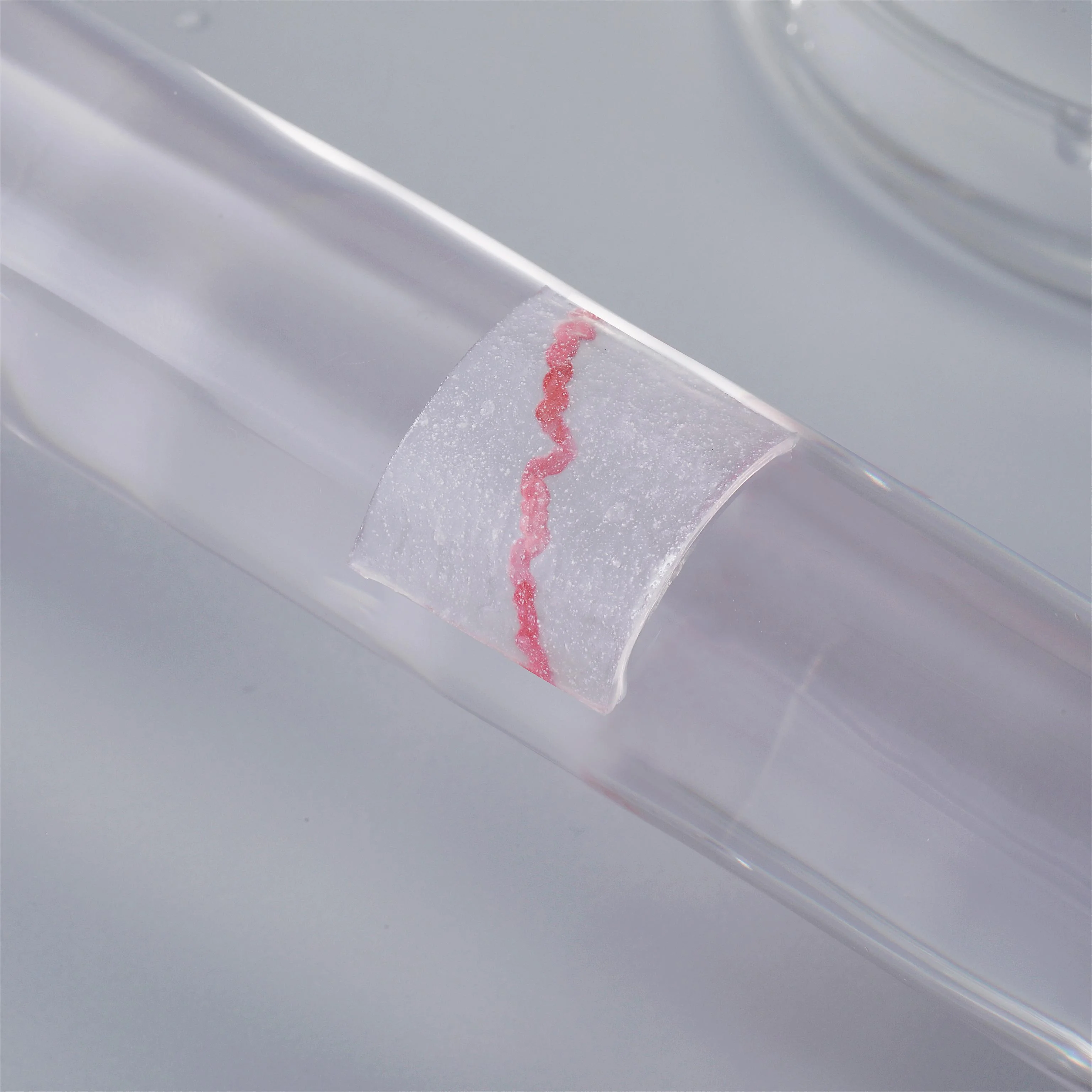 Bone Membrane (GBR) - Absorbable Collagen for Orthopedic Surgery