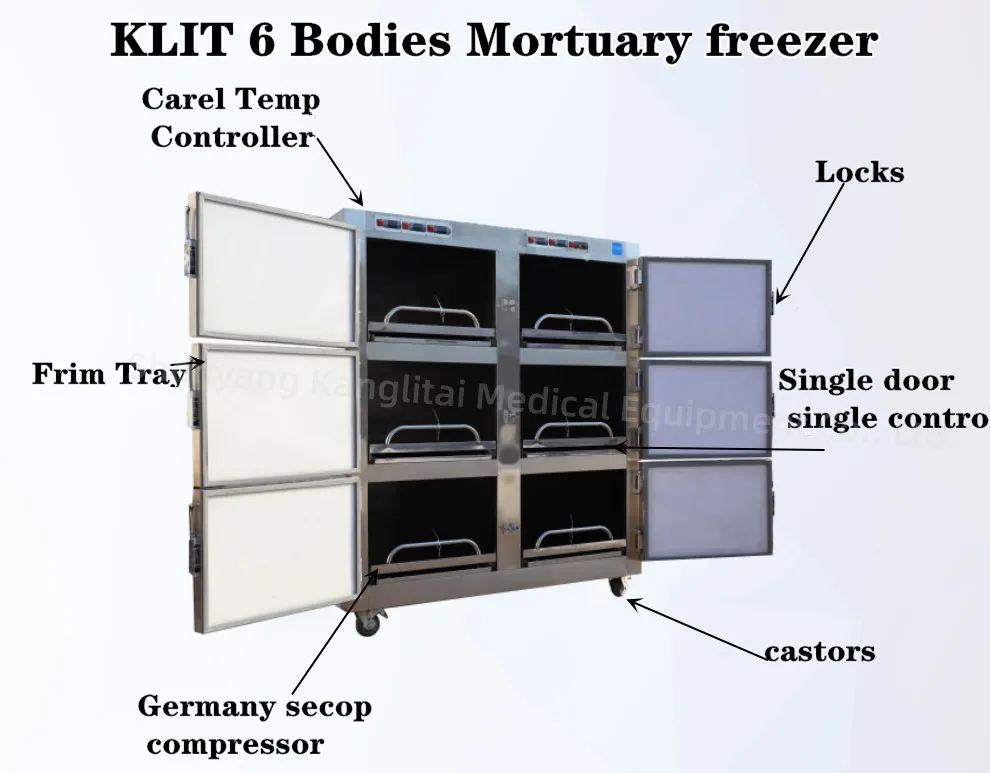 Mortuary Dead Bodies Freezer 6 Corpse for Mortuary Refrigerator Morgue ...