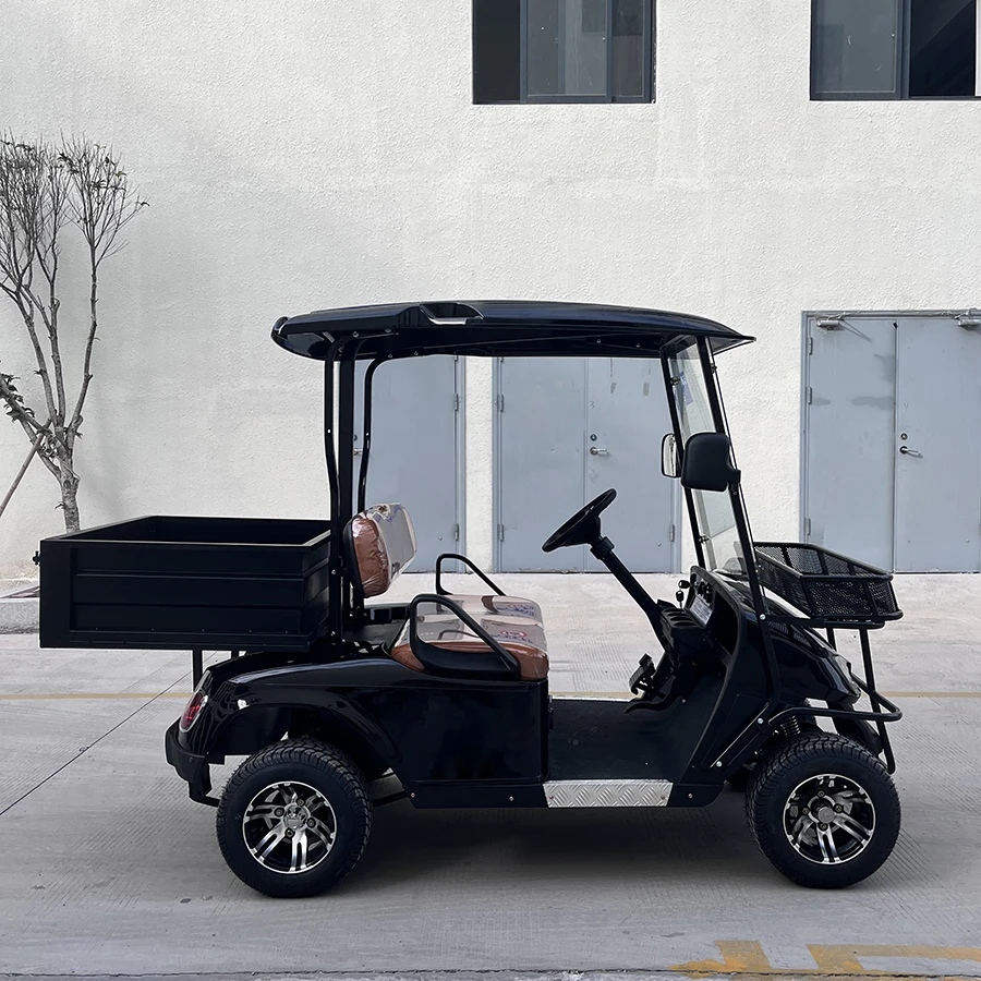 2 Seater With Cargo Box Golf Cart Dot Approved Golf Utility Cart - Buy ...