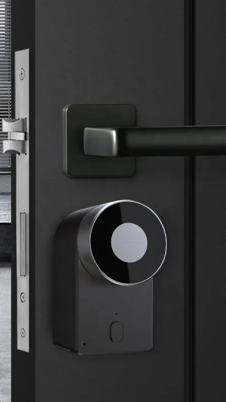 Intelligent Indoor Smart Hidden Door Lock Thumb Turn Ttlock Smart Home ...