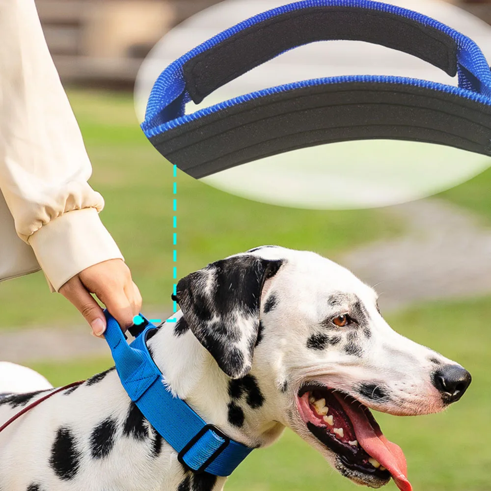 Nylon Tactical Dog Collar and Leash Set With Car Safe Buckle Clip Lead ...