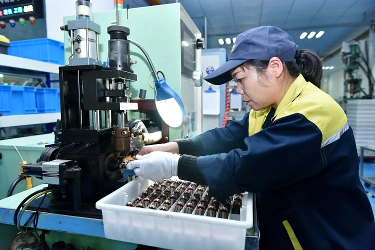 EFP382A GIP-501 MASTER INJECTION Fuel Pump - Reliable Performance