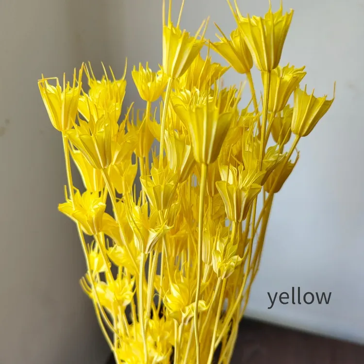 Natural Star Anise Octagon Flower Dried For Bouquets & Wedding Decor ...