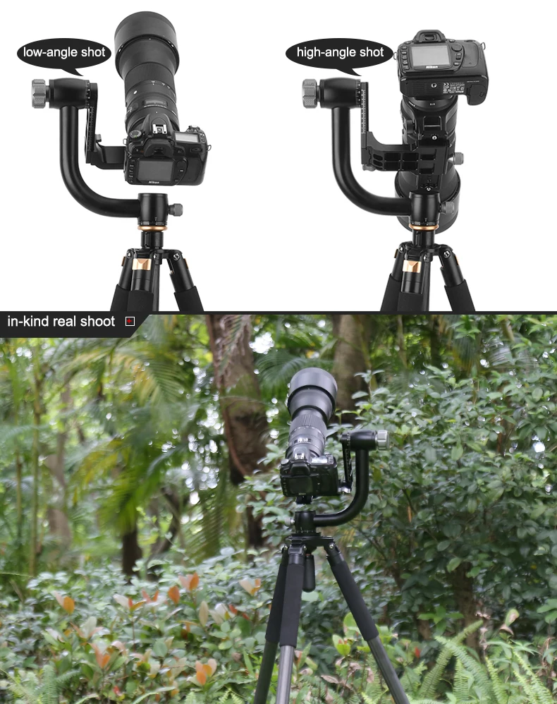 QZSD 360 Degree Rotating Panorama Tripod Gimbal Head for Video Camera ...