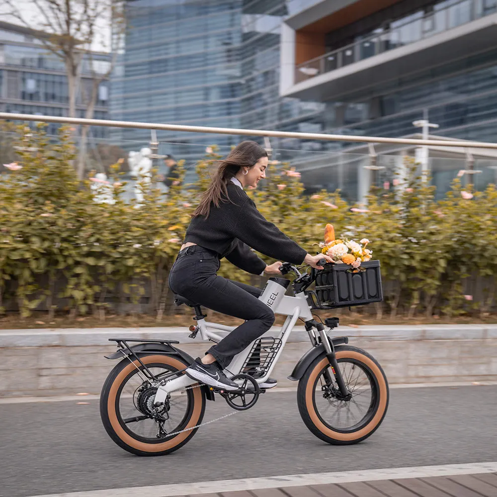 Coswheel M20 Ebike Folding Electric Bike Portable Cheap Electric Bicycle Mini Folding E-bike ...