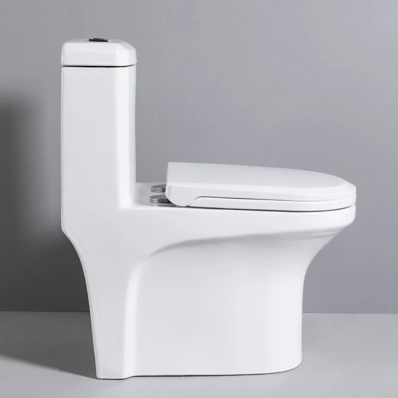 LANDOO Inodoros Ceramic Siphonic Sanitary Ware - Modern Toilet Bidet