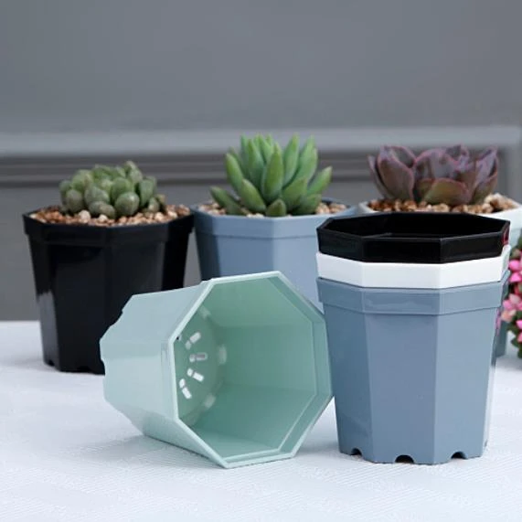 Modern Plastic Octagon Flower Pot Home Garden Office Desk Succulent ...