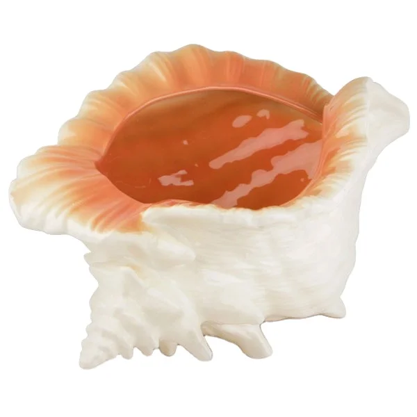 brand new exotic white conch shells for sale| Alibaba.com