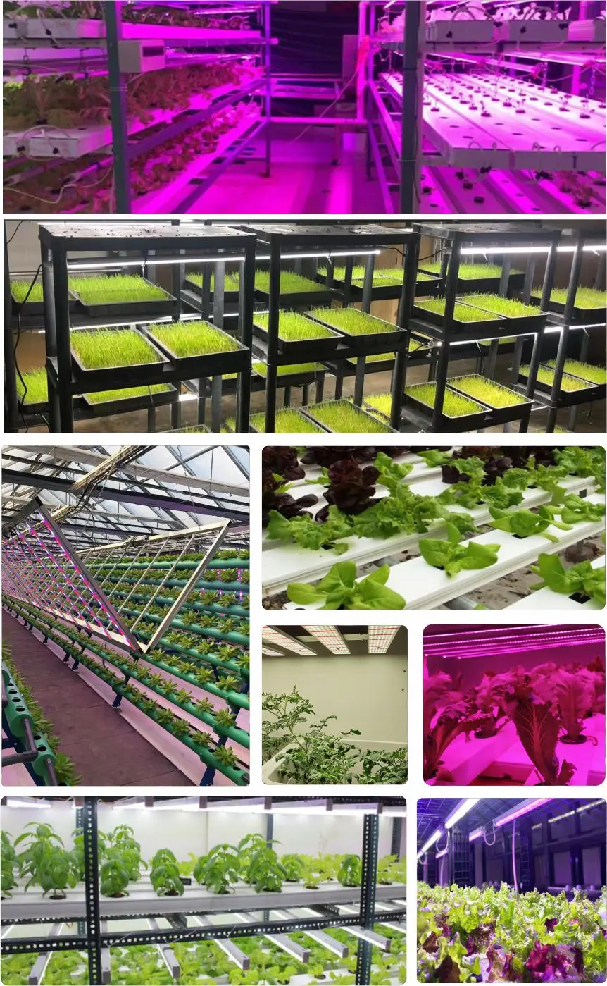 Ra95 T8 Led Tube Grow Light Full Spectrum 6000k 4ft 30w 36w Led Grow ...