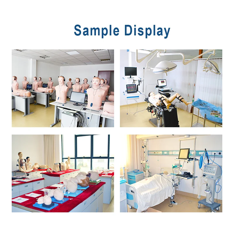 GD/LV39 Advanced Rectal Examination Simulator for Medical Science