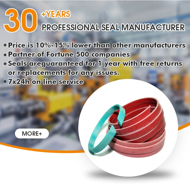 DLSEALS Graphite Dynamic Seal for Compressor PTFE Piston Ring/rod Seal ...
