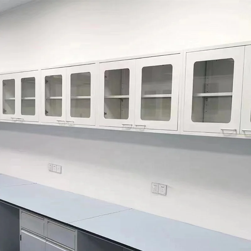 Laboratory Hanging Cabinet - Durable & Corrosion Resistant