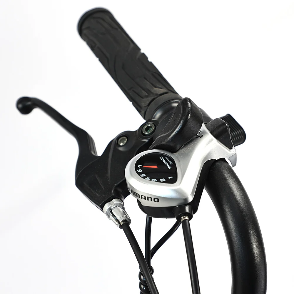 Customizable Super73 Electric Bike 1000W, 48V, 50km/h - Tailored ...